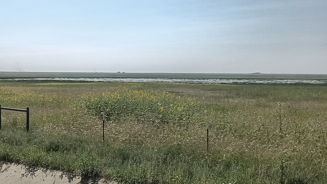 WT Graduate to Present Significant New Research into Playa Lakes at ...